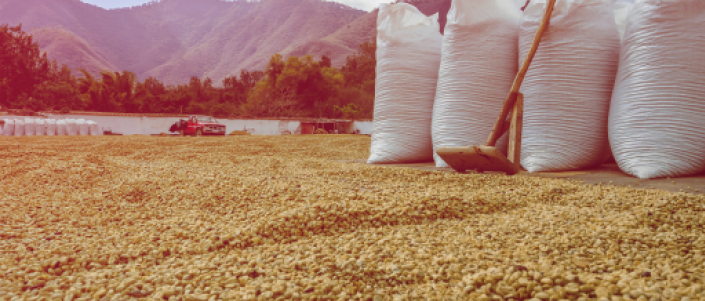 Agribazaar: India's leading integrated agritech platform